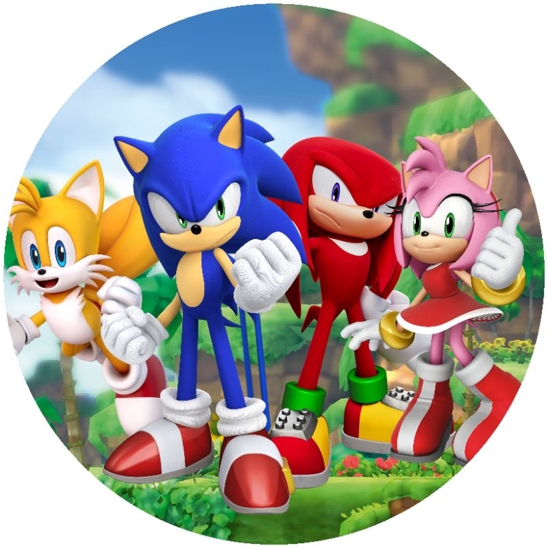 Painel Sonic e sua Turma | Shopee Brasil
