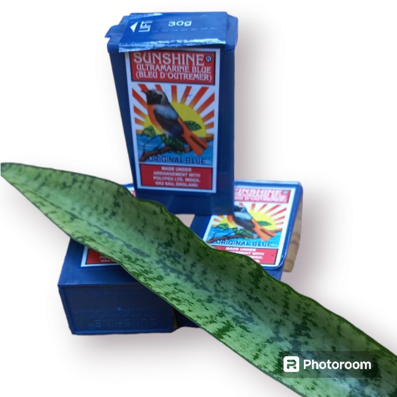 Wagi Oage Anil Africano Pó Para Limpeza Espiritual 30g | Shopee Brasil