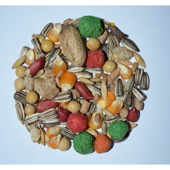 Mix de sementes e grãos , hamster, roedores e papagaio - 1KG | Shopee ...