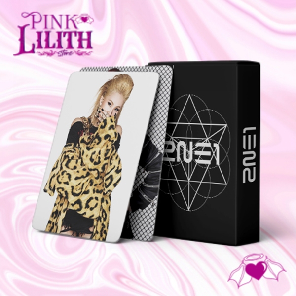 Caixa de Photocards - 2NE1 | Shopee Brasil