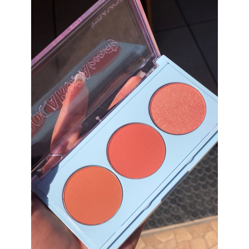 Paleta de Blush Boca Rosa #Carinhademetida By Payout 3 tons | Shopee Brasil
