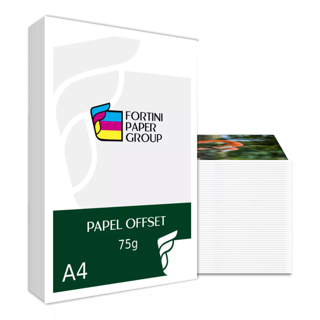 Papel Offset 75g 1000 Folhas A4 Branco X-Brill Profissional | Shopee Brasil
