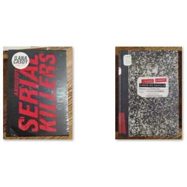 Ilana Casoy: SERIAL KILLERS: Louco ou Cruel? e SERIAL KILLERS: Made in ...