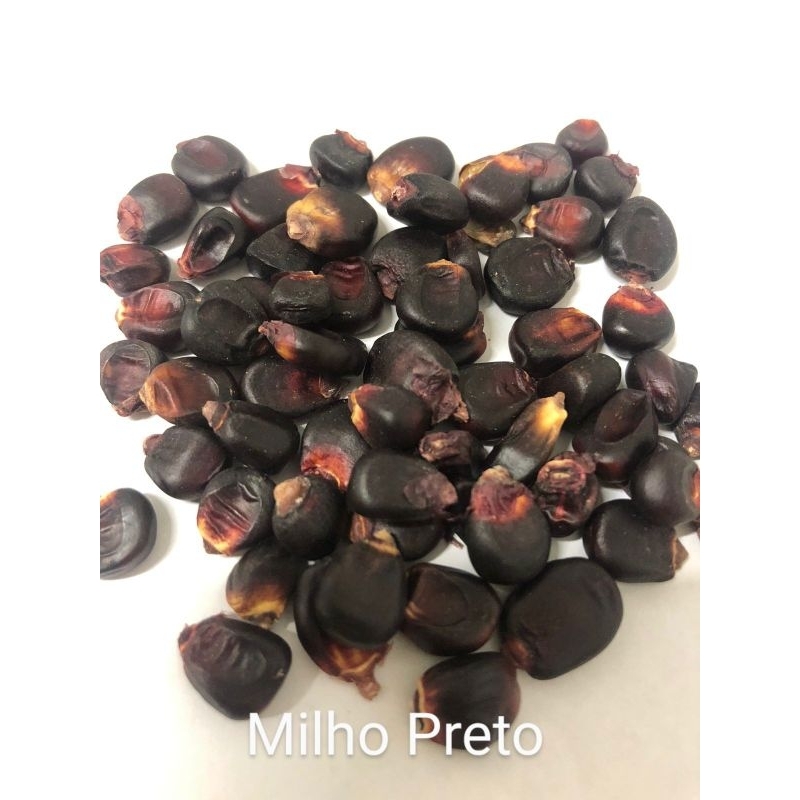15 Sementes de Milho Preto Maiz Morado | Shopee Brasil
