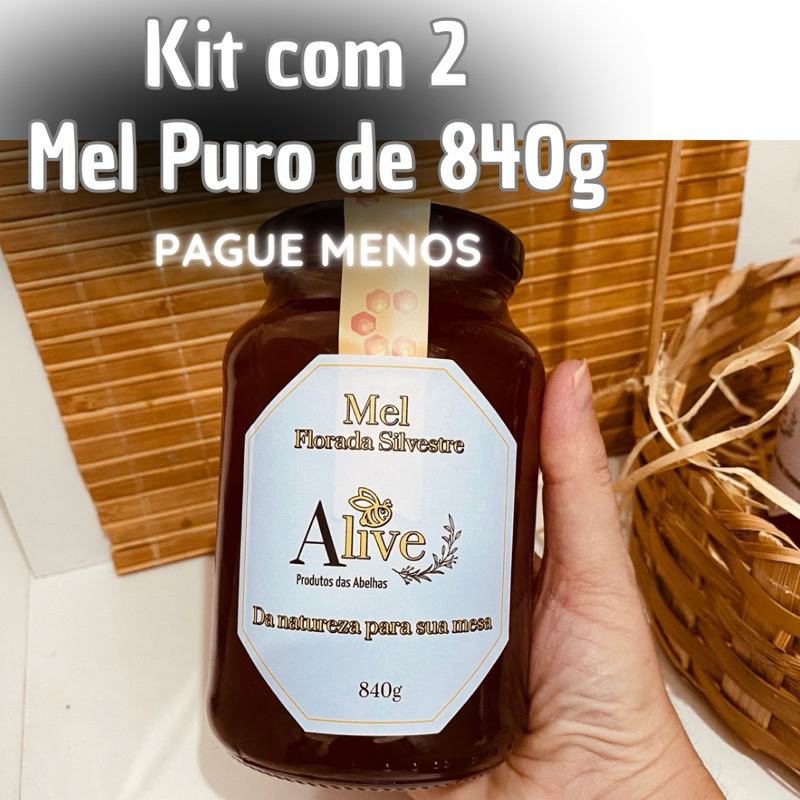 KIT COM 2 MEL PURO DE 840g CADA MEL CRU Florada Silvestre ARTESANAL ...
