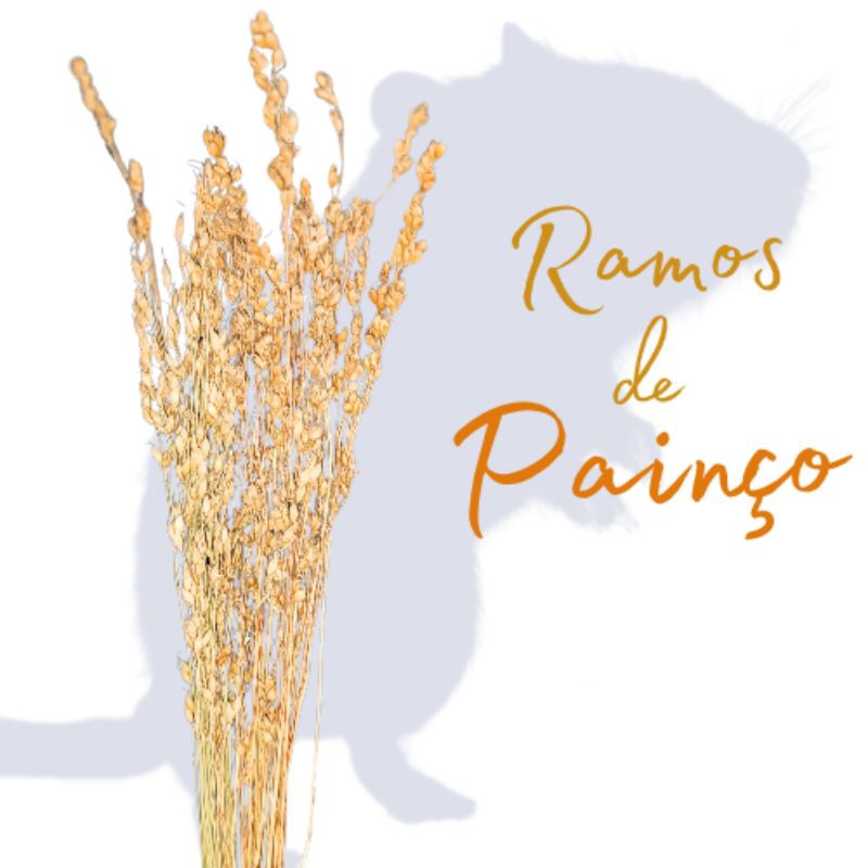Ramo, Spray de painço português não alvejado, hamster, roedores, aves ...