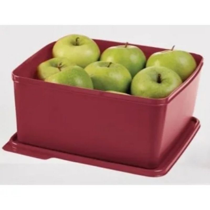TUPPERWARE BASIC LINE 160ml , 500ml, 1,5L , 2,5L e 5 LITROS | Shopee Brasil