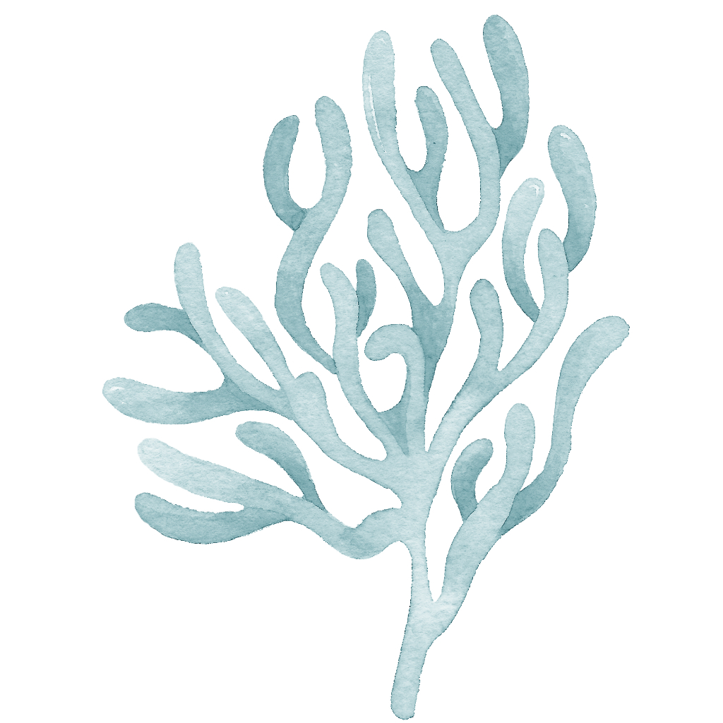 DISPLAY MDF ALGA AZUL FUNDO DO MAR AQUARELA 40CM | Shopee Brasil