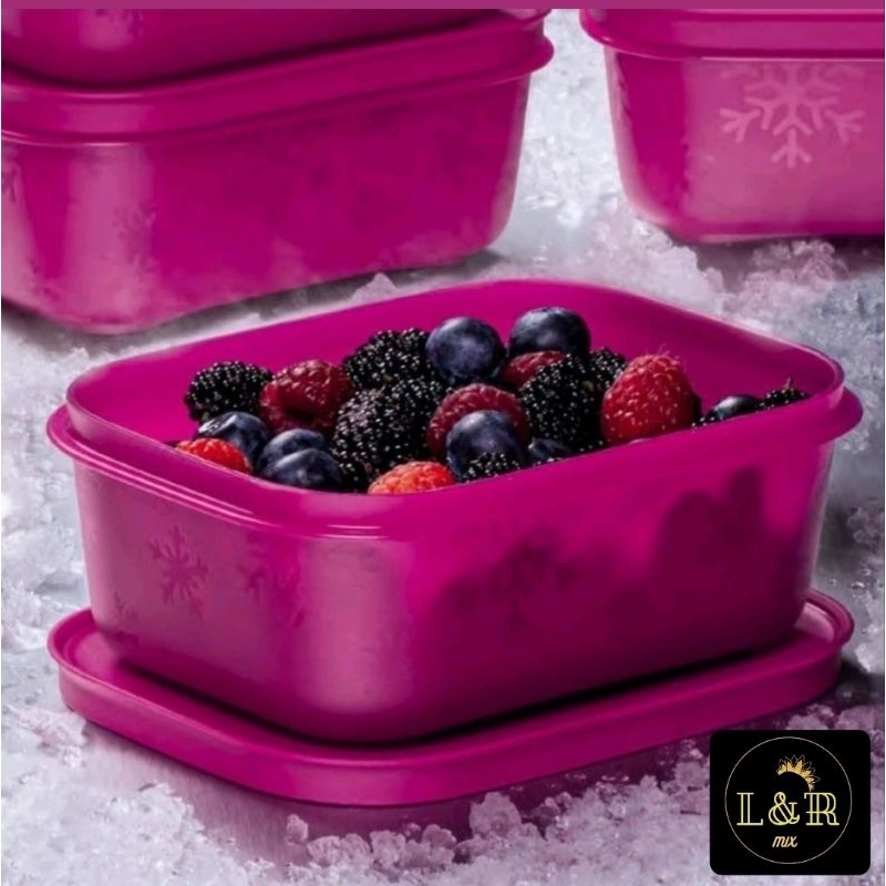 Tupperware Pote Para Congelar 450ml Roxo ORIGINAL | Shopee Brasil