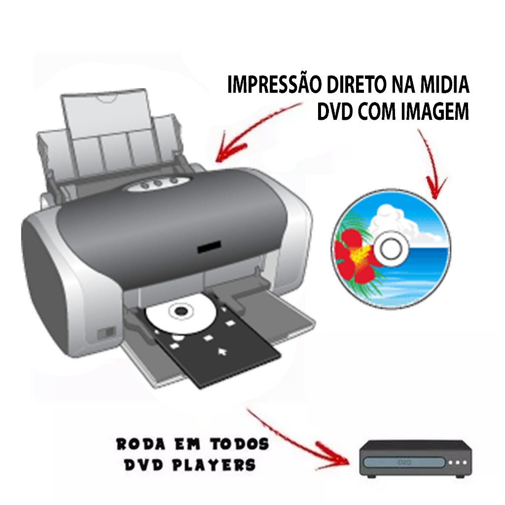 Dvd Turminha Do Animazoo Vol 1 2 3 | Shopee Brasil