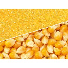 milho seco em grão ou moido pacote-1kg | Shopee Brasil