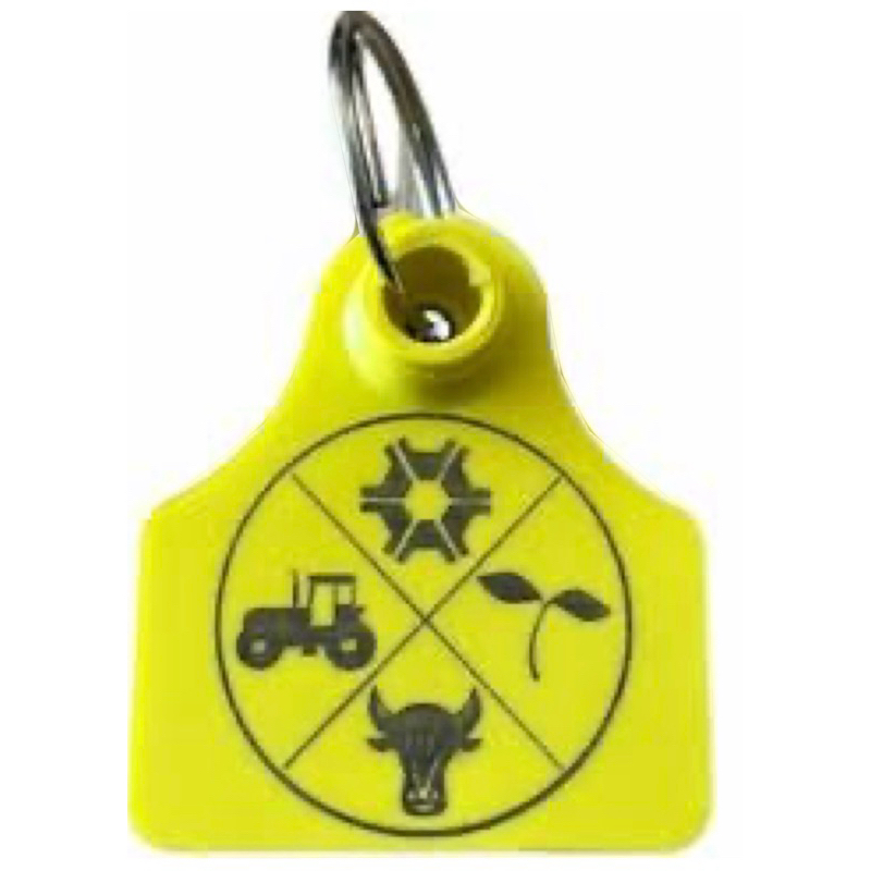 Chaveiro Brinco de Boi | Shopee Brasil