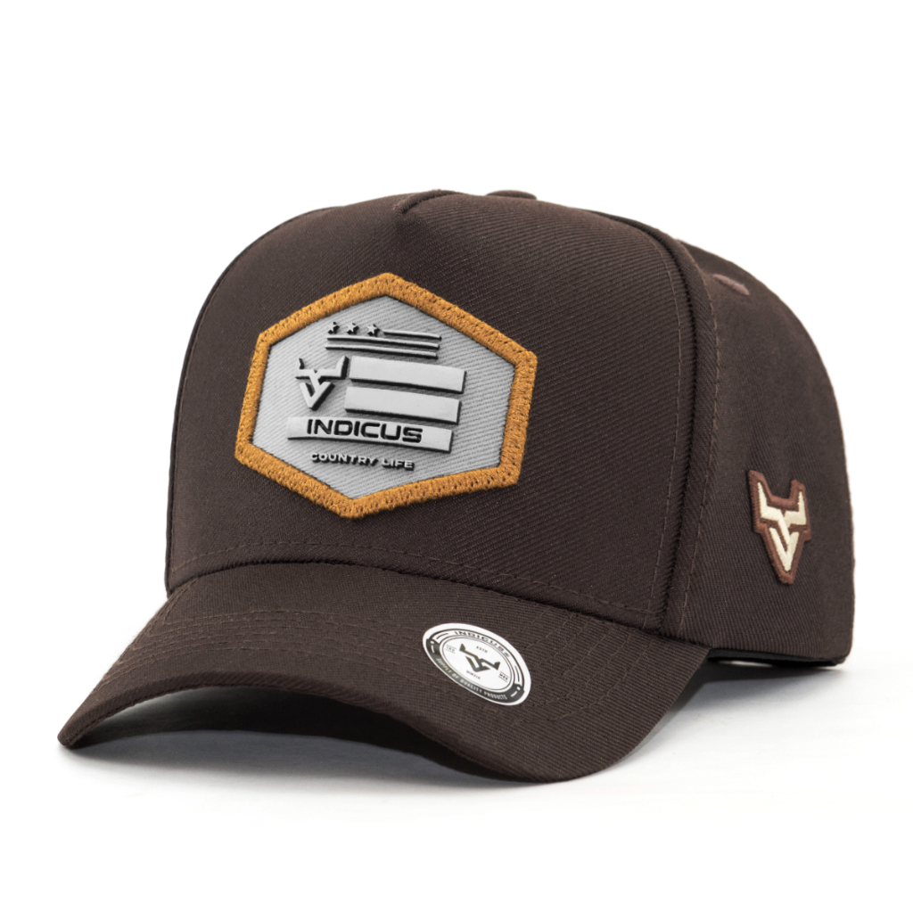 bone chapeu country casual aba curva fitao a roça caipira sertanejo ...