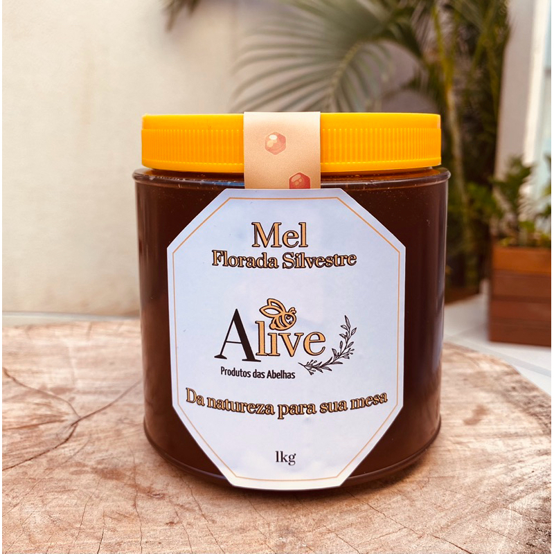 Mel Puro 1kg Mel Cru Florada Silvestre 100% natural direto dos ...