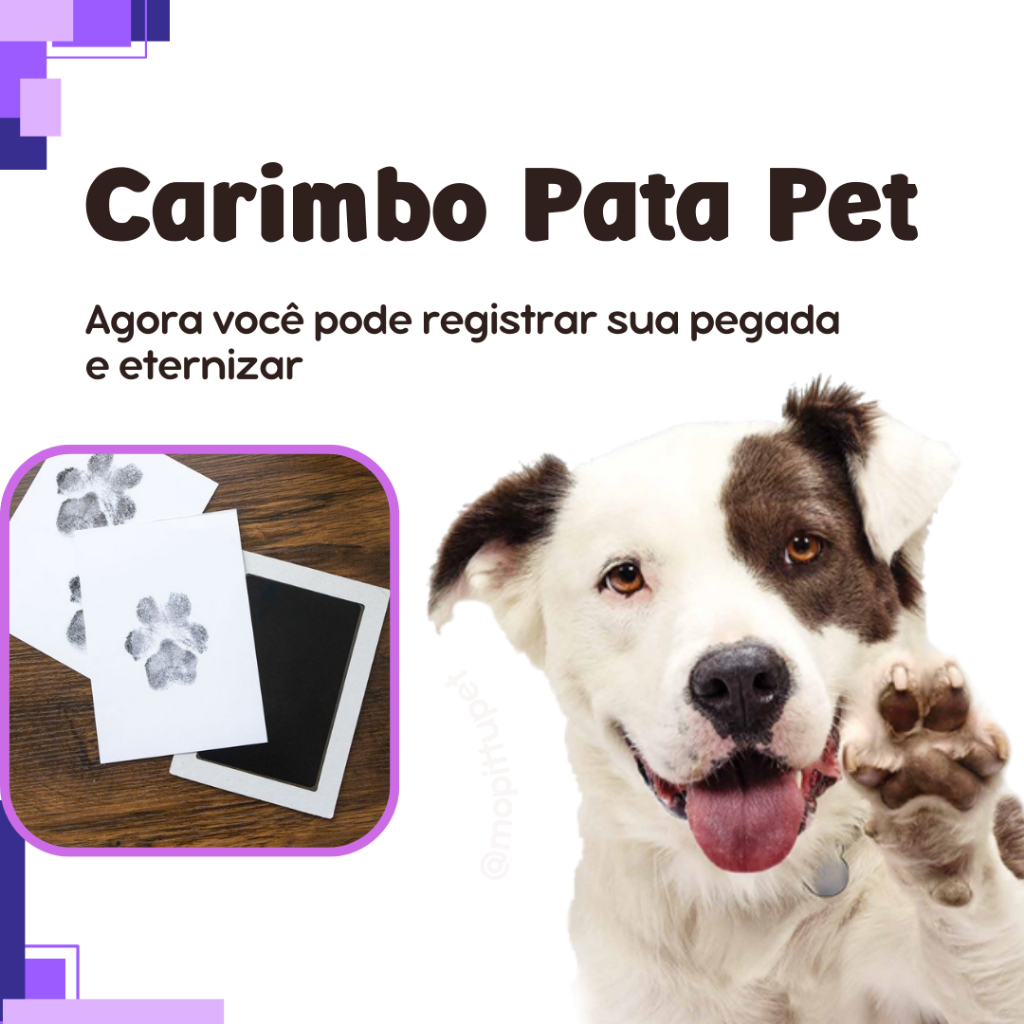 Carimbo Pata Pet, eternizar com carinho seu Bichinho | Shopee Brasil
