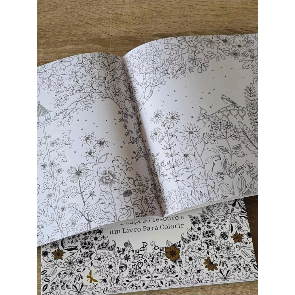 Livro de colorir Jardim Secreto - Antiestresse com 16 Paginas | Shopee ...