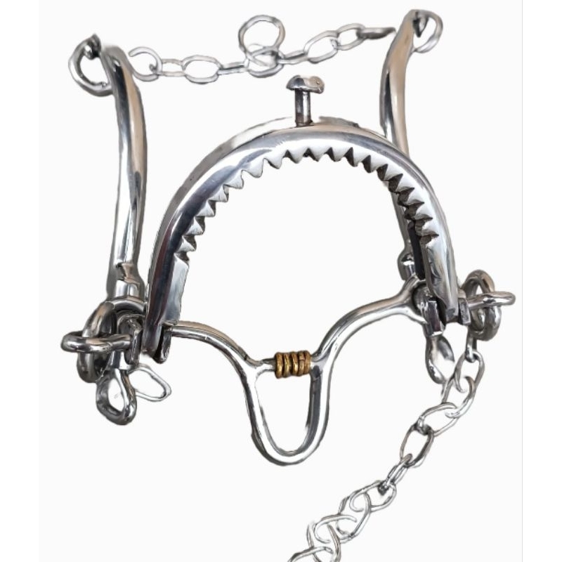 Freio bridea cavalo conjugada professora inox salivador vaquejada | Shopee Brasil