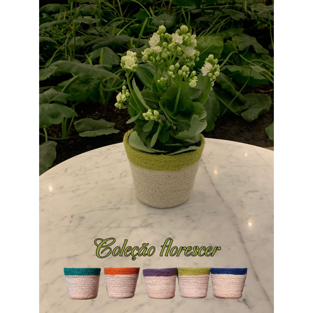 Vaso cachepô para plantas, flores, suculentas, decoração com faixa ...