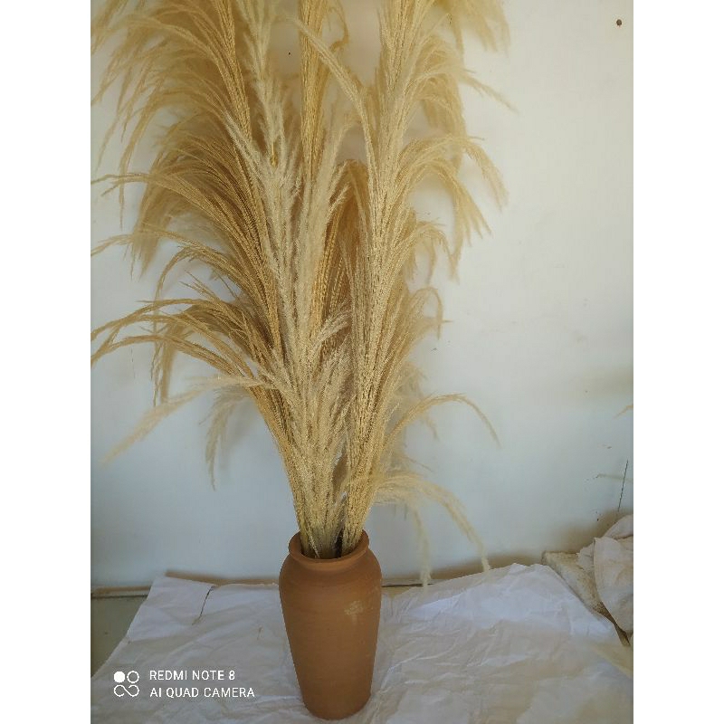 capim dos pampas kit 6 hastes de 90 cm + cabos + vaso em cerâmica ...