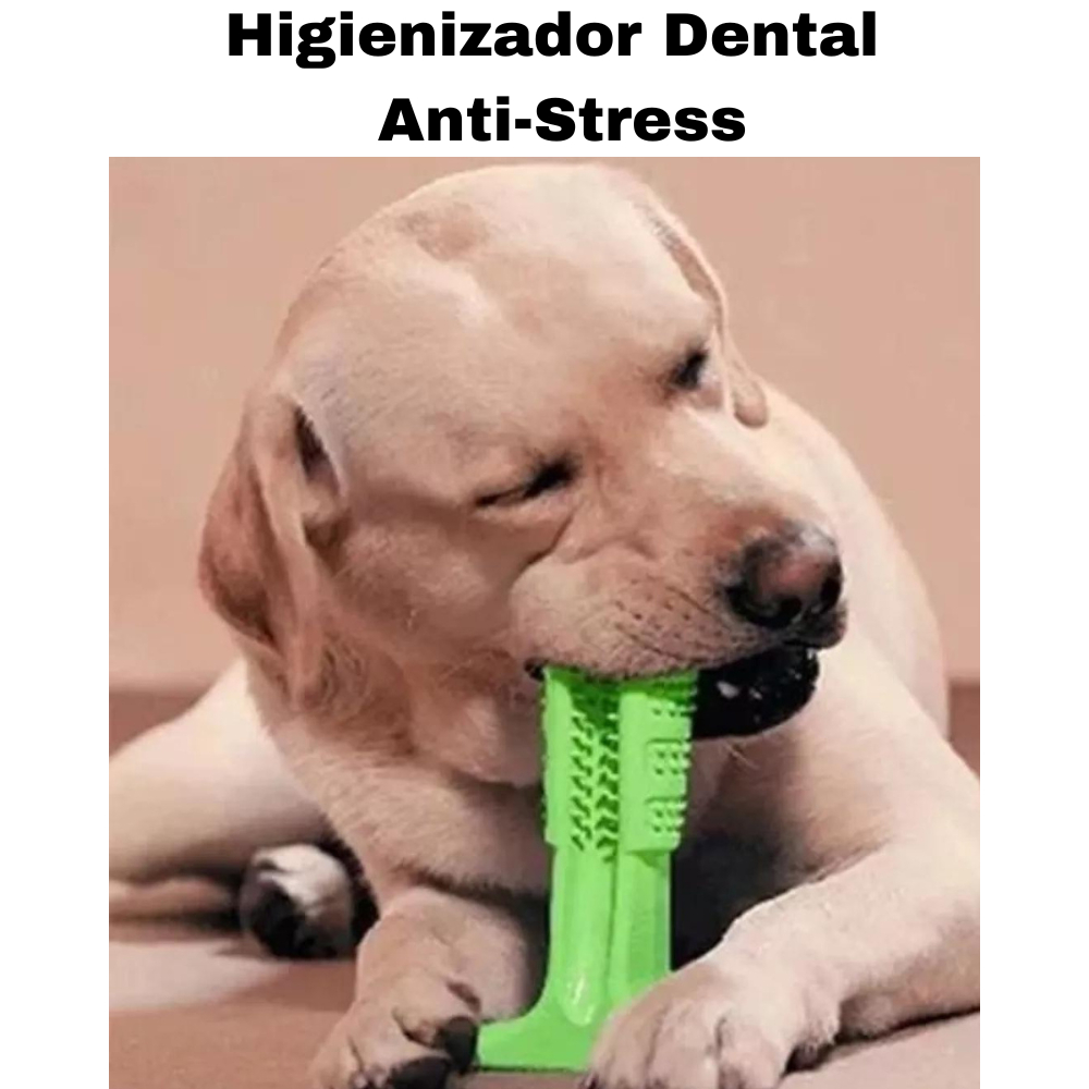 Brinquedo Interativo Mordedor Escova de dente para Cachorro Pet ... Brinquedo Interativo Mordedor Escova de dente para Cachorro Pet ...