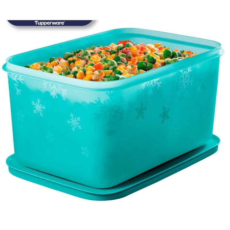FREEZER LINE 2,5L ARUBA - TUPPERWARE | Shopee Brasil