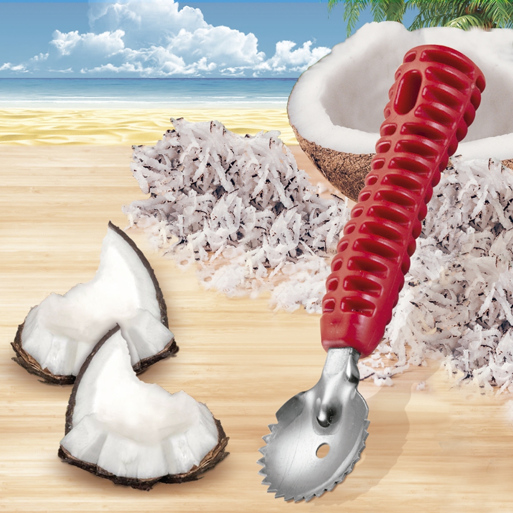 Raspa Coco Raspador Em Aço Inox Manual Com Cabo Reforçado | Shopee Brasil