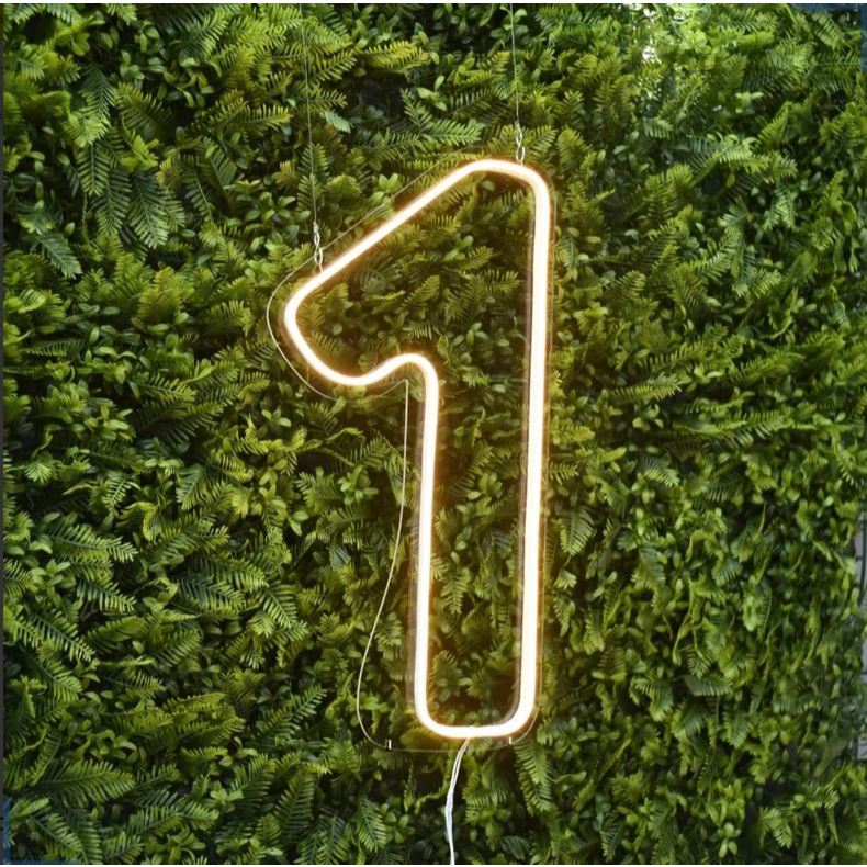 Painel Led Neon Números 0 a 9 Acrílico Cristal 50cm Altura Todos ...