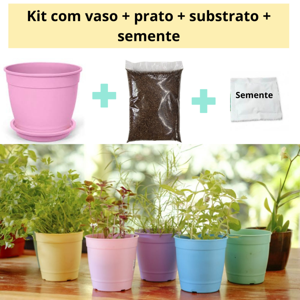 Kit Horta em Casa: Vaso plástico para plantas e temperos + substrato ...