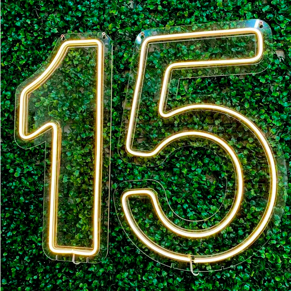 Painel Neon Numero 15 anos Festa Debutante Iluminação Premium 50Cm 60cm ...