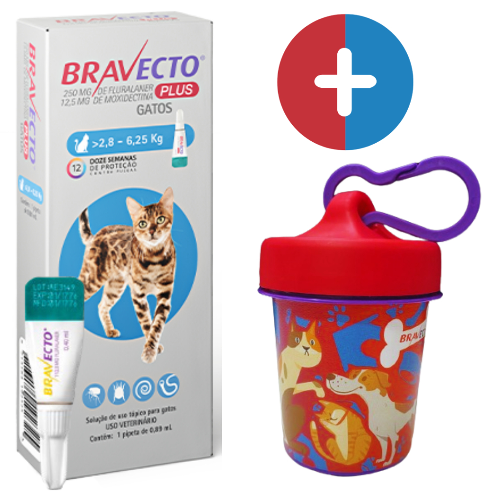 Bravecto Plus Gatos 2,8 A 6,25 Kg Transdermal Msd Original | Shopee Brasil