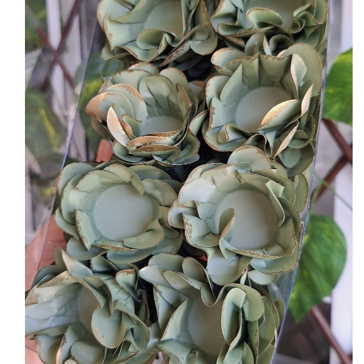 40 Forminhas Flor Pistache Claro Borda Ouro Para Doces Finos Docinhos