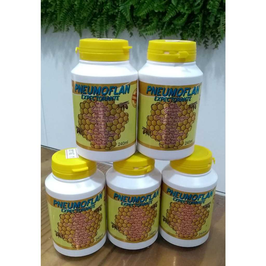 XAROPE EXPECTORANTE PNEUMOFLAN COM 05 UNIDADES - 240ML | Shopee Brasil