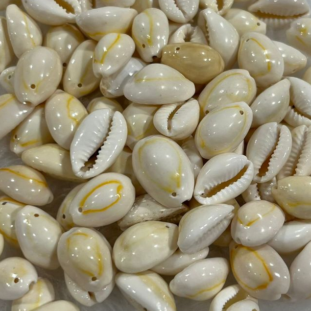 Buzios Natural Pequeno 500 gramas Com 1 FURO Pulseiras Colares | Shopee ...