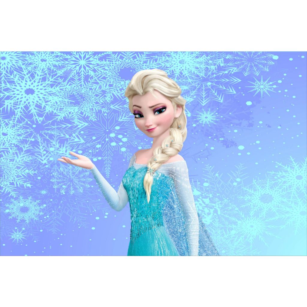 Painel de Festa em Lona Tema Elsa Frozen | Shopee Brasil
