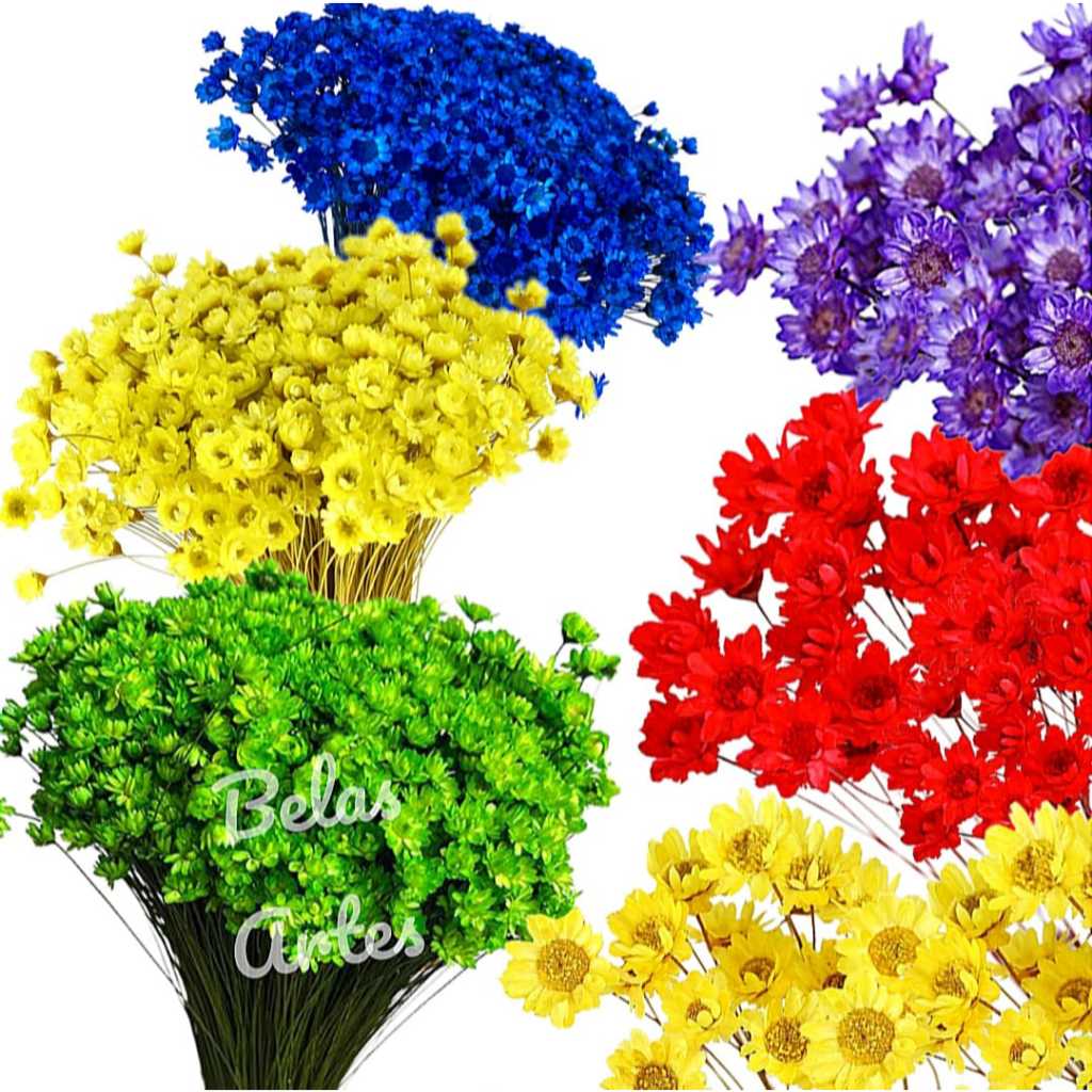 300 Florzinhas Sempre Viva Mosquitinho Naturais. | Shopee Brasil