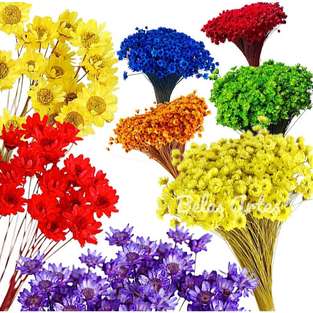 300 Mosquitinho Florzinha Sempre Vivas Flores | Shopee Brasil
