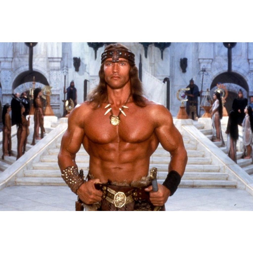 DVD - Coleção - Arnold Schwarzenegger - 30 Filmes | Shopee Brasil