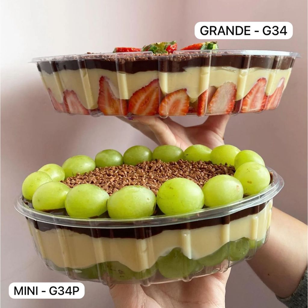 5/10 UNID Embalagem Colomba Mini G34P OU Colomba Grande G34 GALVANOTEK | Shopee Brasil