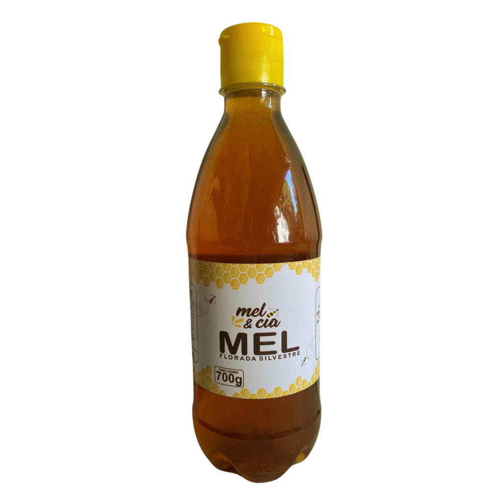 Mel De Abelha Floral Caatinga Região Serrana Nordeste Ceara | Shopee Brasil