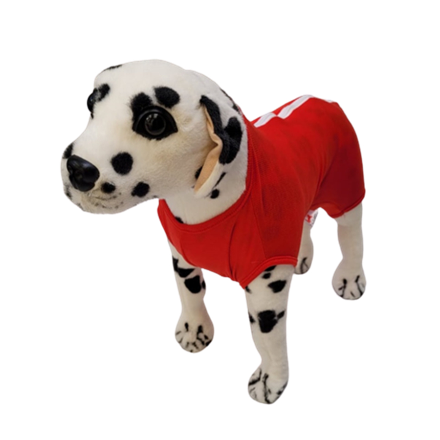 Roupa pós cirúrgica para cães King of Pets - Tam. 07 | Shopee Brasil
