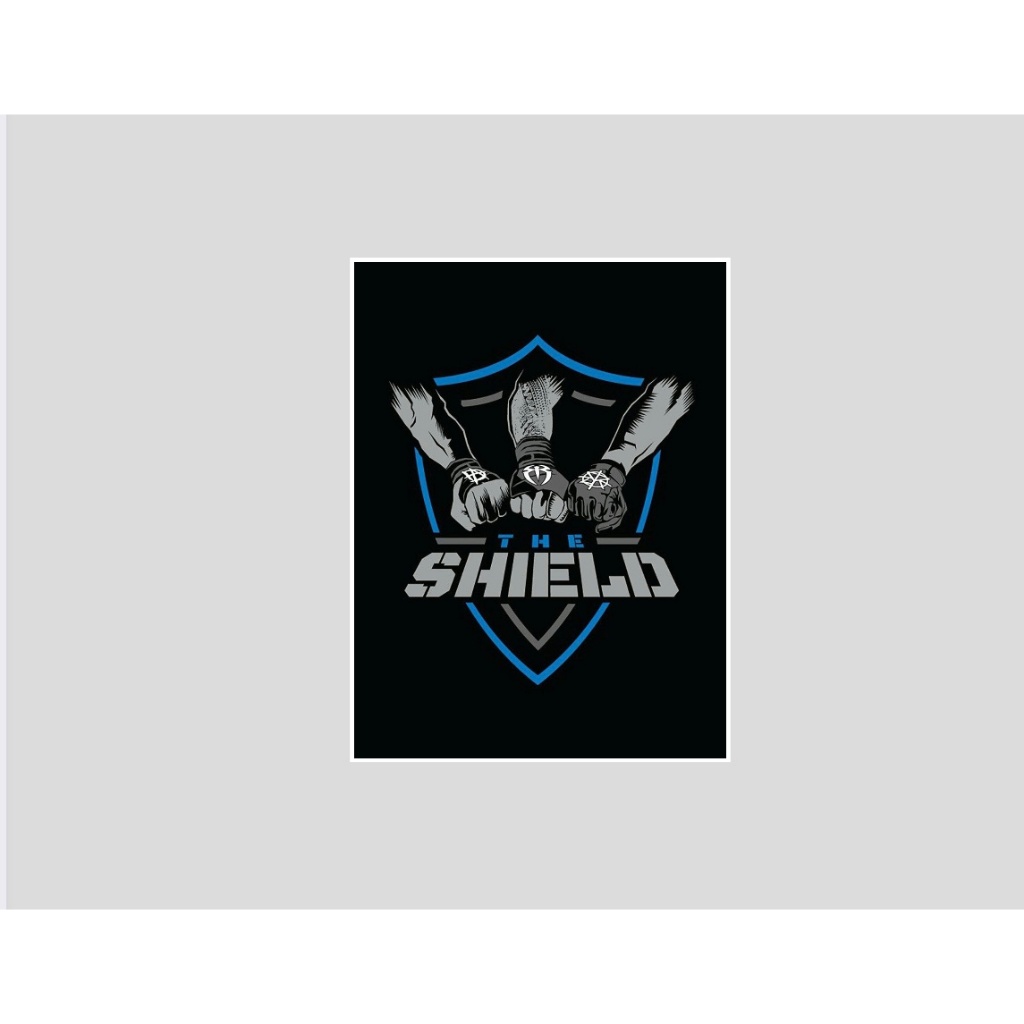 Quadro The Shield Acima da Lei Drama serie policial marvel | Shopee Brasil