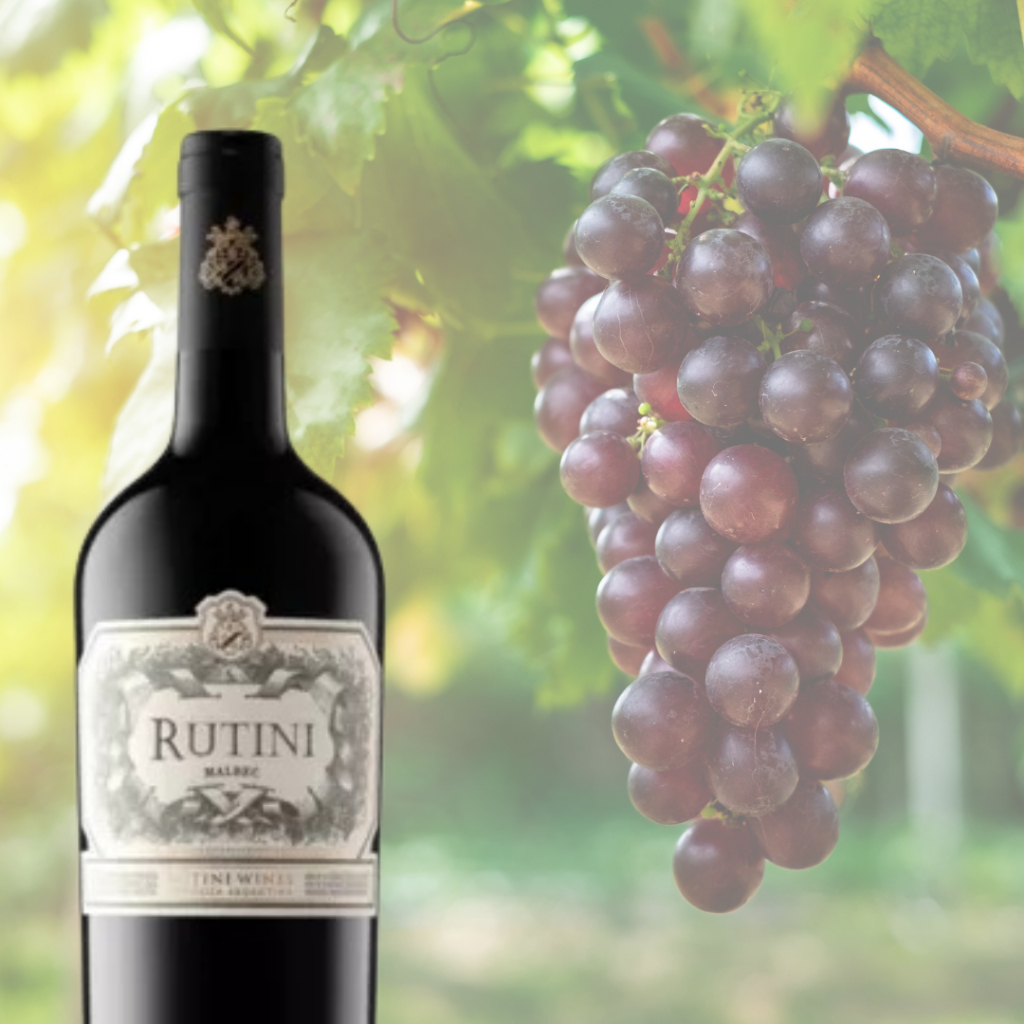 Vinho Argentino Rutini Malbec 750ml | Shopee Brasil