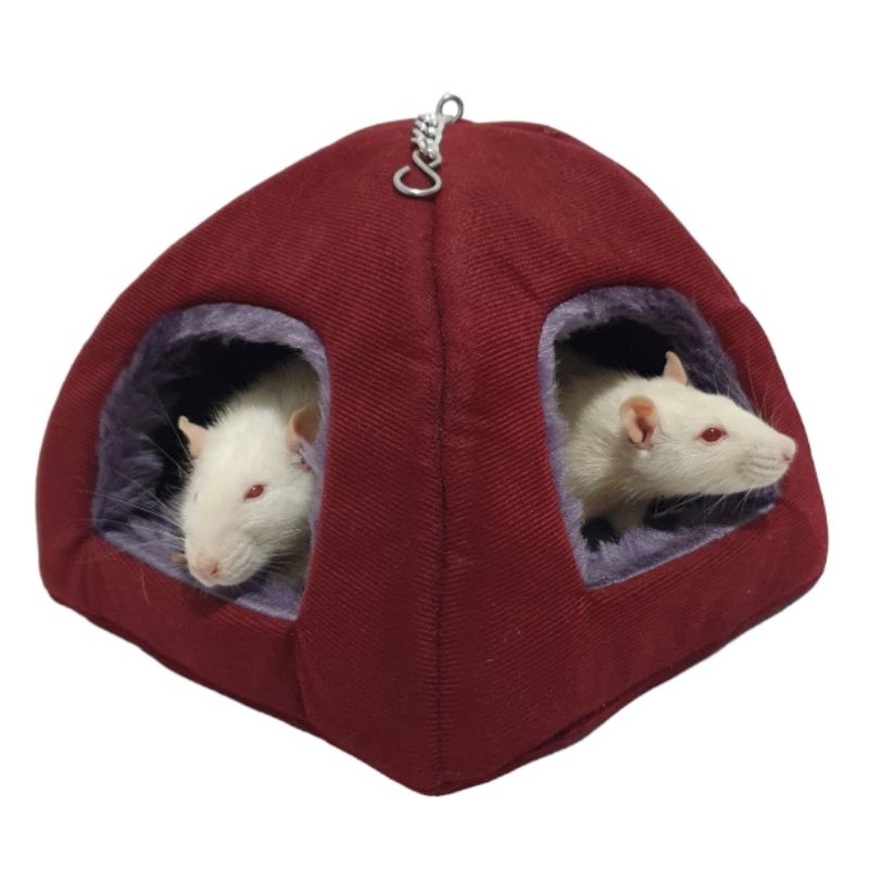 casinha Toca Rede Para Ratos twister Porquinho da Índia e outros Pet ...