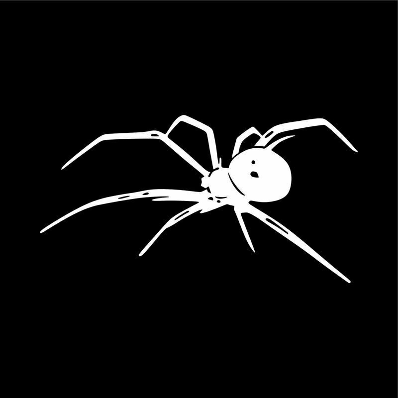 Adesivo Da Aranha Grande - Adesivos Para Tanque Moto 244 | Shopee Brasil