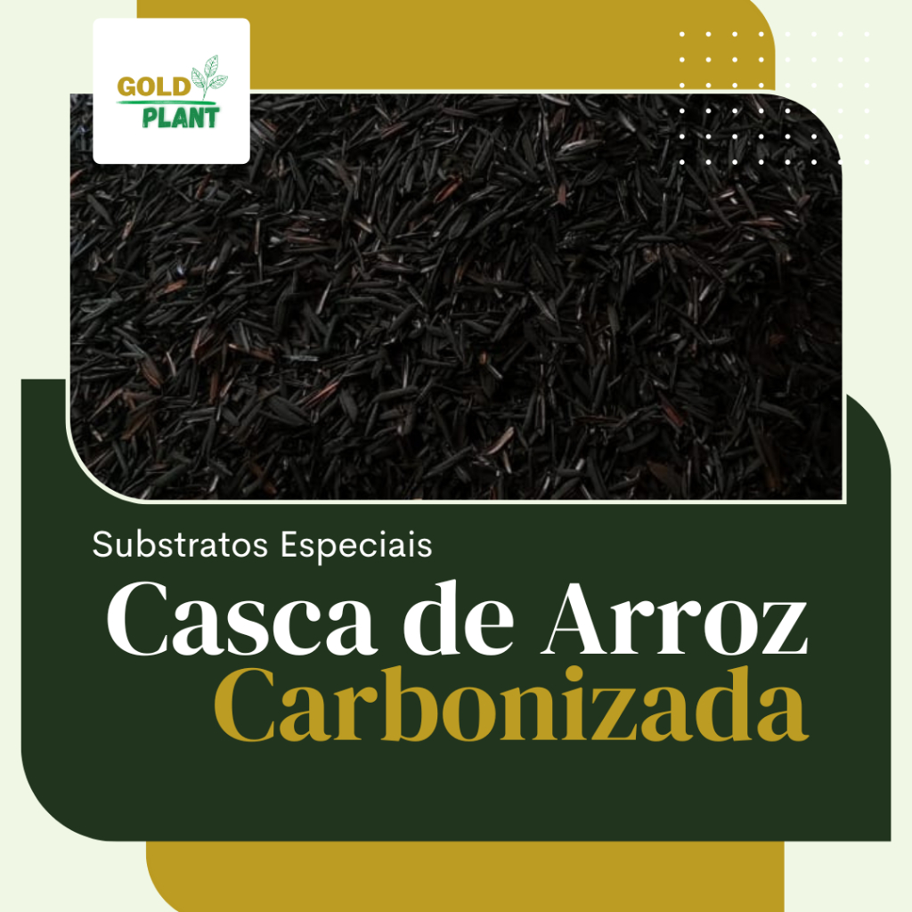 Casca Palha de Arroz Carbonizada Substrato Orgânico Plantas Jardim 1,5l ...
