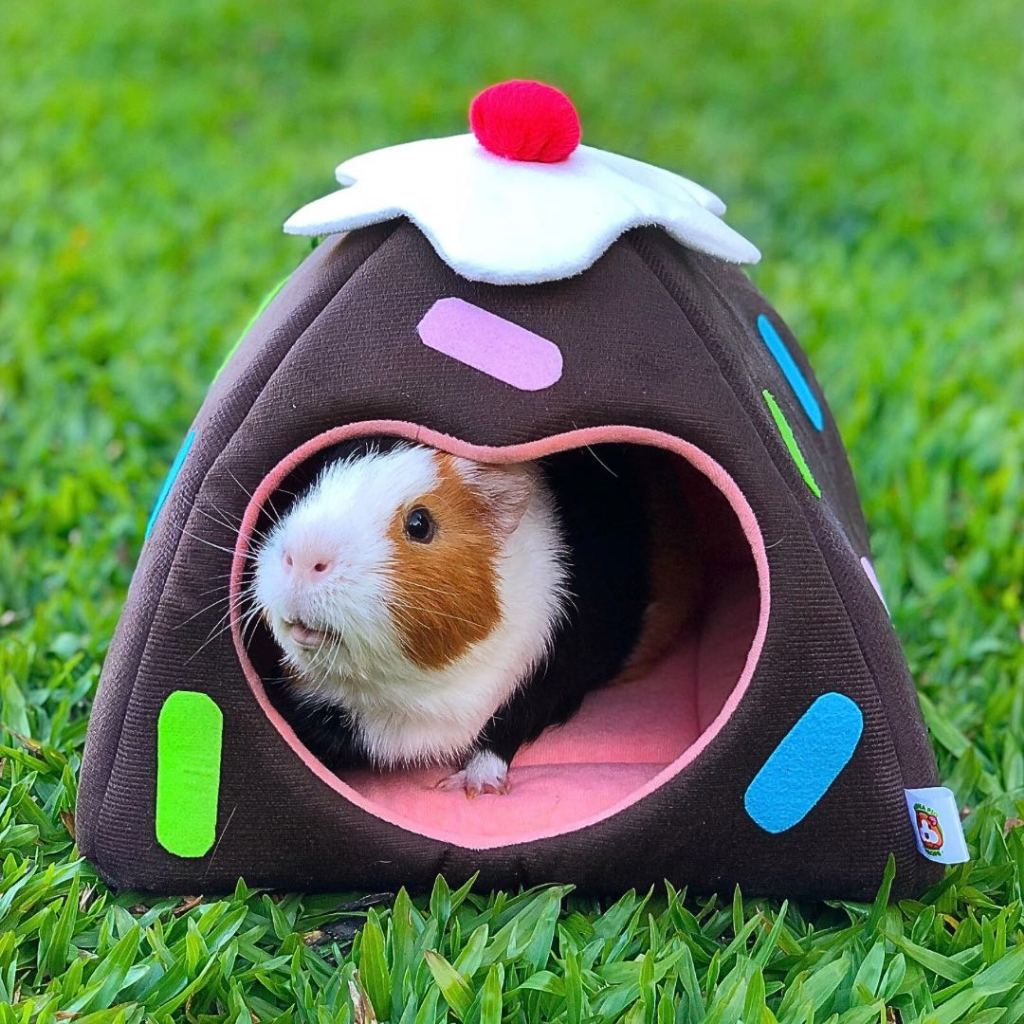 Kit p/ Porquinho da Índia Cupcake - Guinea Pig Props (Cama + P.Feno ...