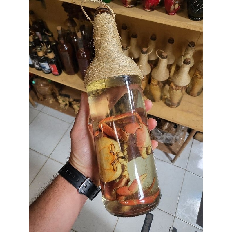 Garrafa Decorativa 1L Com Caranguejo Real Cachaça | Shopee Brasil