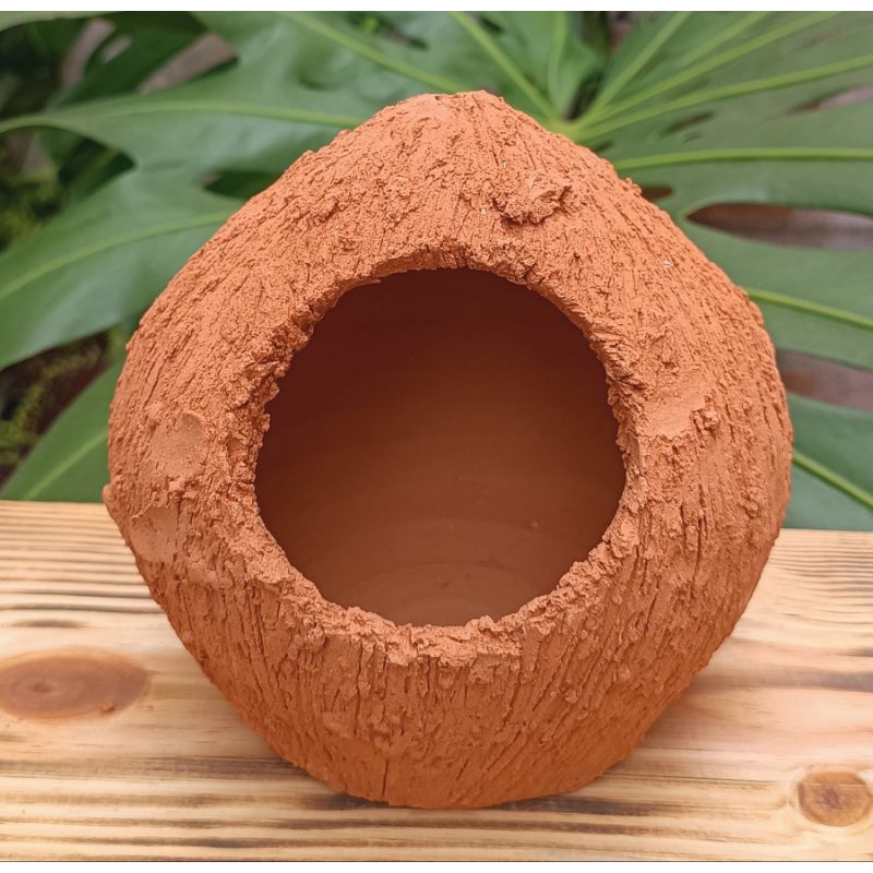 Toca de barro, tema coco, hamster, gerbil, roedores, aves | Shopee Brasil