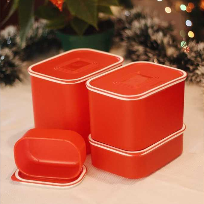 Tupperware Baseline Retangular 230ml + 500ml + 1,3L + 2,1L (Peças a ...