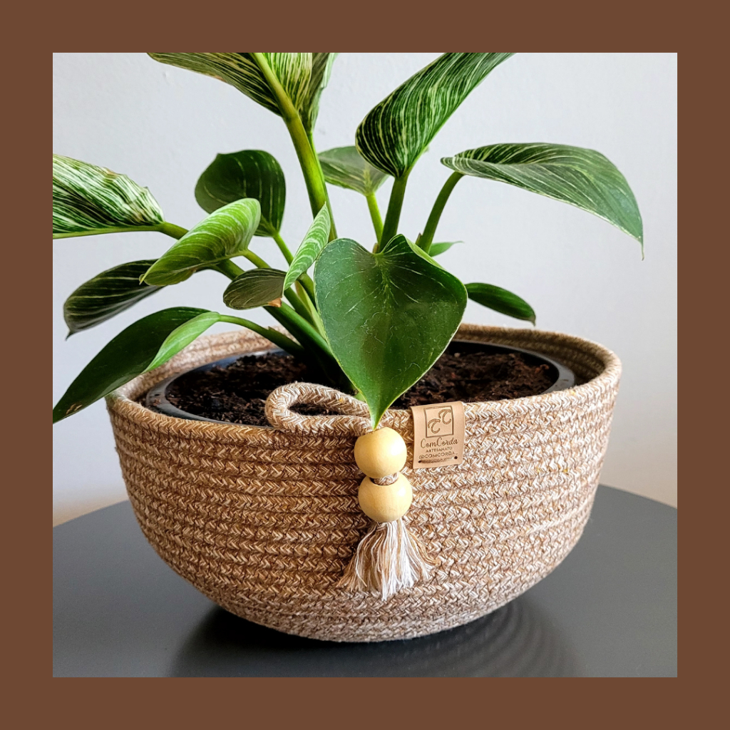 cachepot para plantas em Promoção na Shopee Brasil 2026